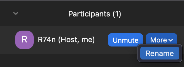 Invisible Name For Zoom Copy Paste Dump